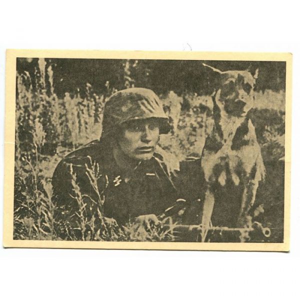 UNSERE WAFFEN SS POST CARD "THE MESSENGER AND HIS DOG" - WARSTUFF.COM